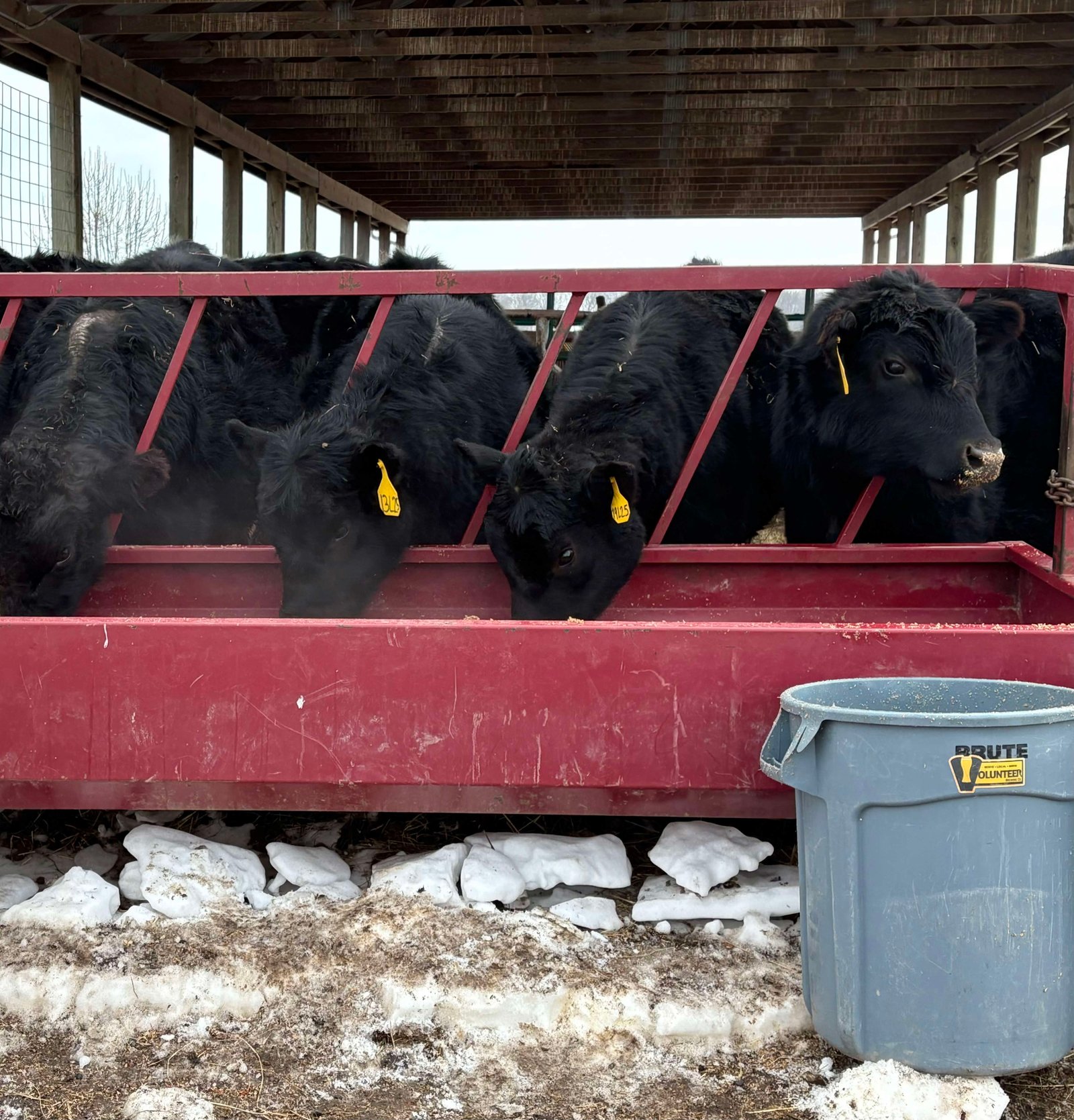 Prime Pastures Meat | Pasture-raised beef & small-batch cuts